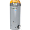 AO Smith BTH-199 Cyclone Mxi Commercial Water Heater Nat Gas 100 Gal ...