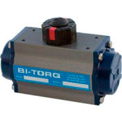 Pneumatic Actuators