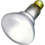 Satco S3836 10g12 1/2/A 10w Incandescent W/ Candelabra Base Bulb - Pkg ...