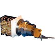 Advance Controls 128450, Three Phase Drum Switch Momentary | B613406 ...