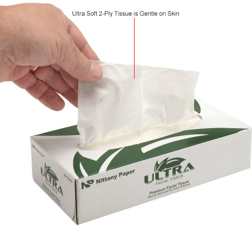 Facial Tissue Flat Box - 100 Sheets/Box, 30 Boxes/Case