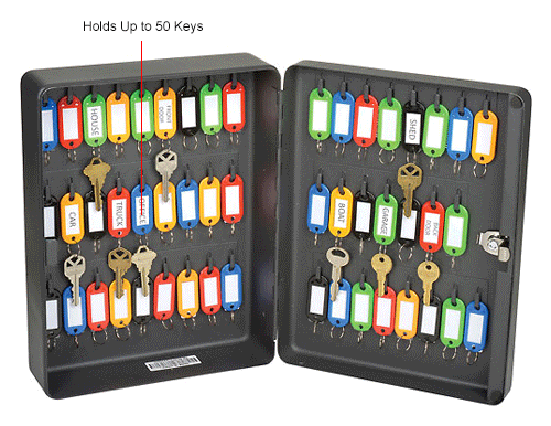 SentrySafe 50 Key Capacity KB-50 Key Box, Key Lock, 9-7/16"W x 3-15/16 ...