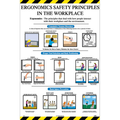 Poster, Ergonomics Safety Principles, 36 x 24 | 240676 ...