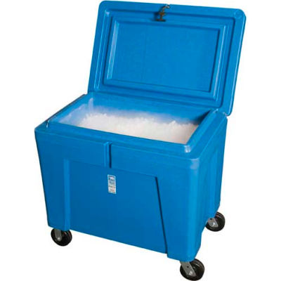 Bins, Totes & Containers | Containers-Bulk | Polar Chest Dry Ice ...