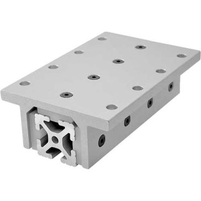 80/20 6536 High-Cycle Double Flange Linear Bearing, Brake Kit Ready ...