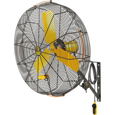 Big Ass Fans AirEye Directional Fan Kit with Wall Mount & Ion ...