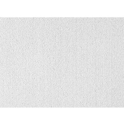USG 56099 Clean Room™ ClimaPlus™ Ceiling Panels, Mineral Fiber, White ...