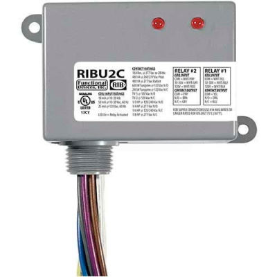 RIB® Enclosed Relays RIBU2C, 10A, 2 SPDT 10-30VAC/DC/120VAC