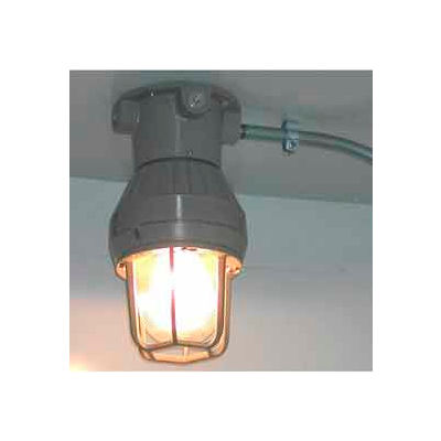 Securall® Explosion-Proof Light w/Photocell Exterior for Hazmat Buildings