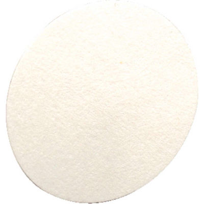 MSA Hydrophobic Probe Filter for Altair® 5/5X, 710917