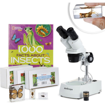 AmScope 20X-40X Student Stereo Microscope, 9-pc 3D Insect Specimen Kit ...
