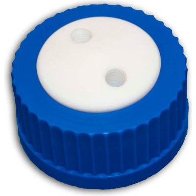 CP Lab Safety 2-Port Cap with Plugs, For Glass Bottles with GL45 ...