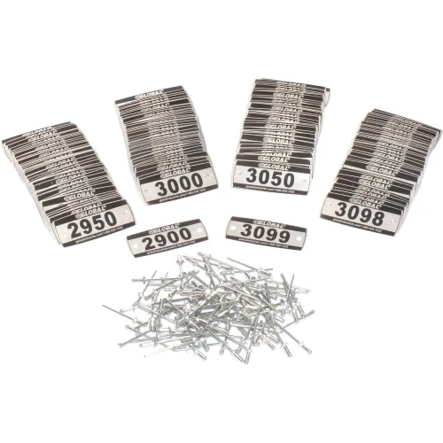 Global Industrial™ Locker Number Plate Kit, Numbered 2900-3099, 200/Pack