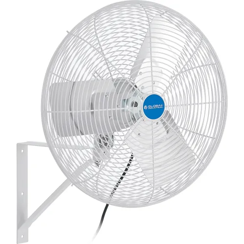 Global Industrial™ 20" HAF Agricultural Fan, 7836 CFM, 120V