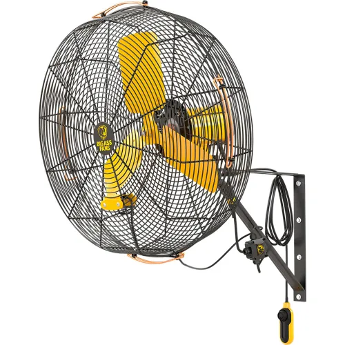 Big Ass Fans AirEye Directional Fan with Wall Mount, 24"