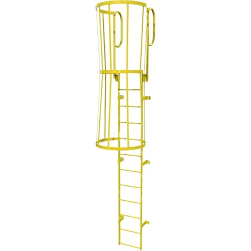 Ballymore 12 Step Steel Caged Walk Through Fixed Access Ladder, Yellow