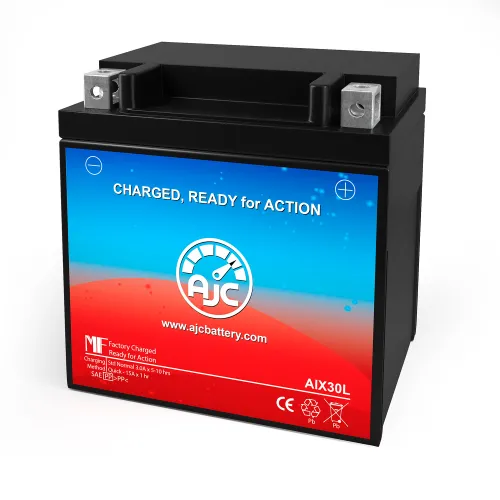 AJC® Can-Am Defender XT 800CC UTV Replacement Battery 2016, 12V, B