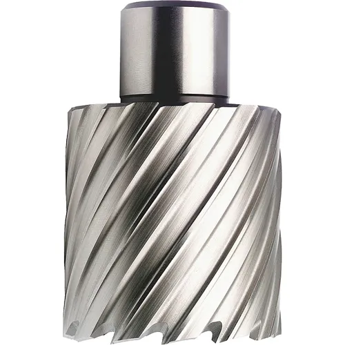 CS Unitec 6-Series Unibroach™ HSS Annular Cutter with Pilot Pin, 13/16 ...