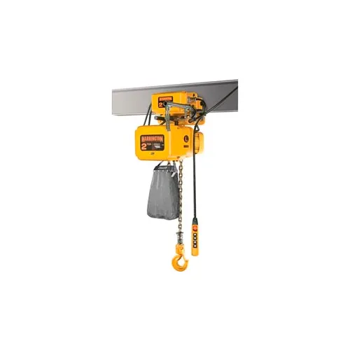 NER Electric Chain Hoist w/ Motor Trolley - 2 Ton, 20' Lift, 28 ft/min, 460V
