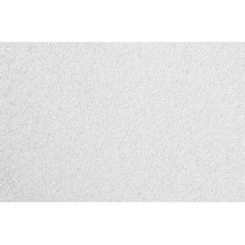 USG 98221 Halcyon™ ClimaPlus™ Ceiling Panels, Mineral Fiber, White, 24 ...