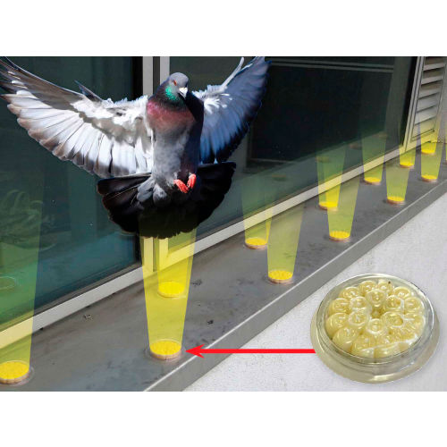 Bird Free Optical Gel, 48% OFF | green.dps.uminho.pt