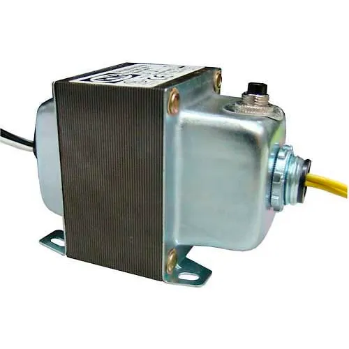 RIB® Transformer TR100VA002-20, 100VA, 120-24V, Dual Hub, Foot Mount ...