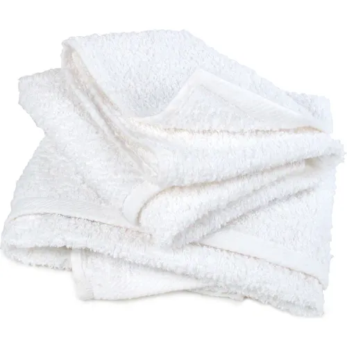 Pro-Clean Basics Sanitized Anti-Bacterial Terry Cloth Rags, White, 25 ...