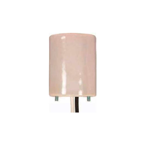 Satco 80-1646 Keyless Glazed Porcelain Mogul Socket