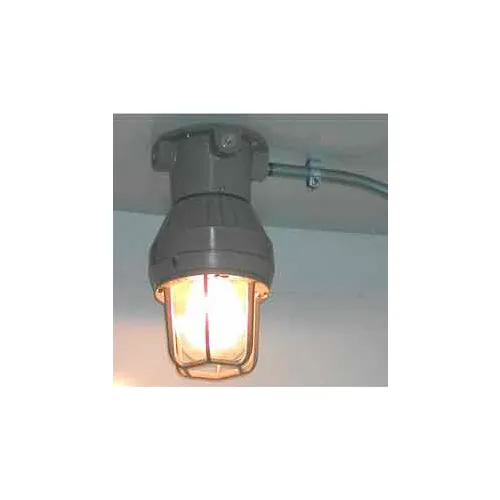 Securall® Explosion-Proof Light w/Photocell Exterior for Hazmat Buildings