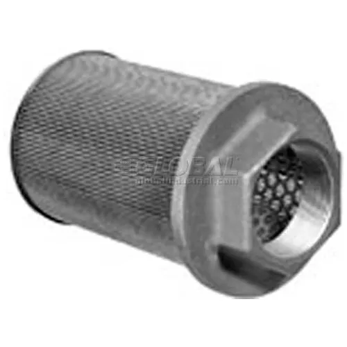 Buyers Return Line Manifold Strainer, Si1003, Single Element, 1" Nptf ...