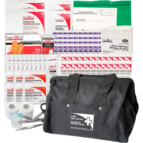 First Aid Central™ Federal, Type C, First Aid Kit, Nylon Bag