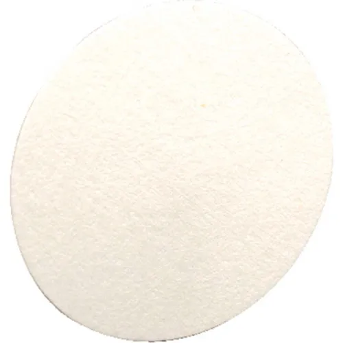 MSA Hydrophobic Probe Filter for Altair® 5/5X, 710917