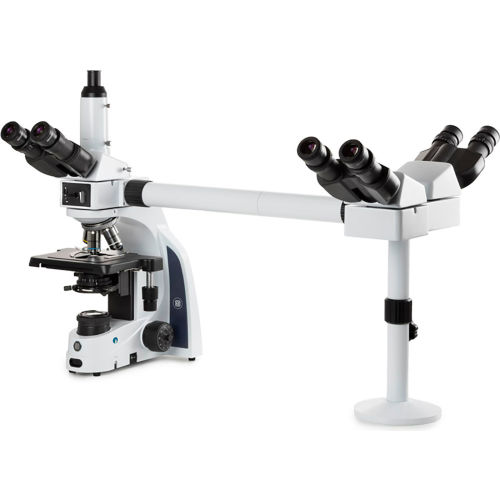 Euromex IScope Trinocular Multihead Microscope w/ 2 Extra Binocular ...