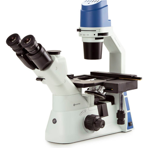 Euromex Inverted Trinocular Microscope w/ Mechanical Stage PL 10/20/40x