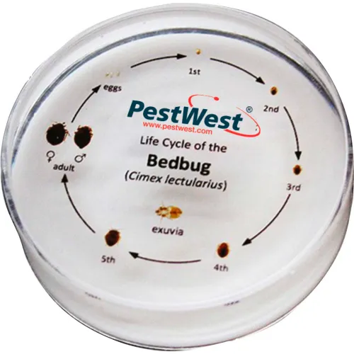 PestWest CSI Kit Replacement Parts - Bed Bug Specimen Life Cycle ID