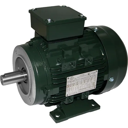Worldwide Electric Corporation IEC Aluminum Frame Motor, B3/B14, TEFC ...