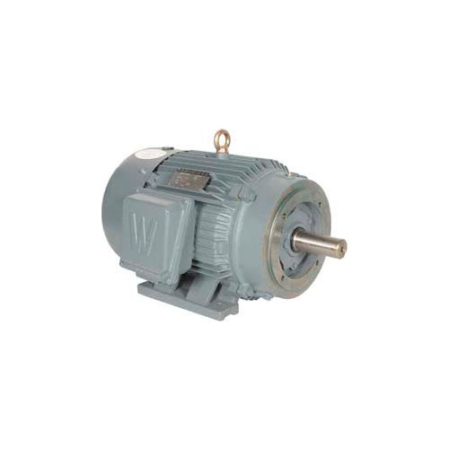 Worldwide Electric T-Frame Motor PEWWE5-18-184TC, GP, TEFC, Rigid-C, 3 ...