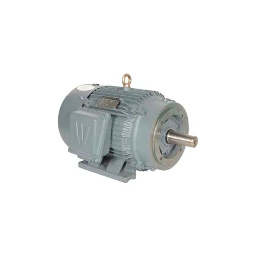 Worldwide Electric T-Frame Motor PEWWE60-12-404TC, GP, TEFC, Rigid-C, 3 ...