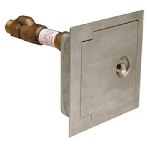 Zurn Z1320XL-EZ-3/4X10 Wall Hydrant W/Ceramic Disc, 3/4" x 10"